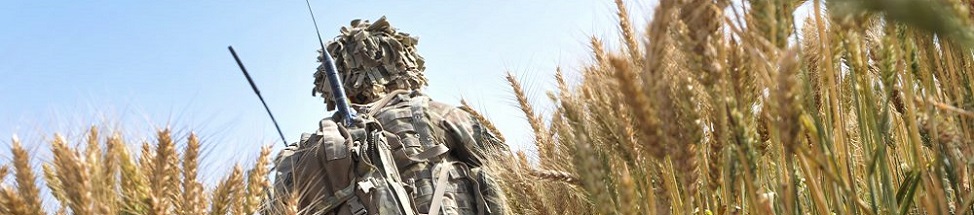 Welcome to Veterans Scotland